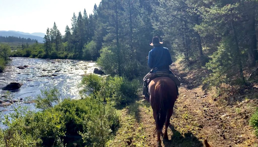 HOME PAGE – Dry Creek Wrangler School